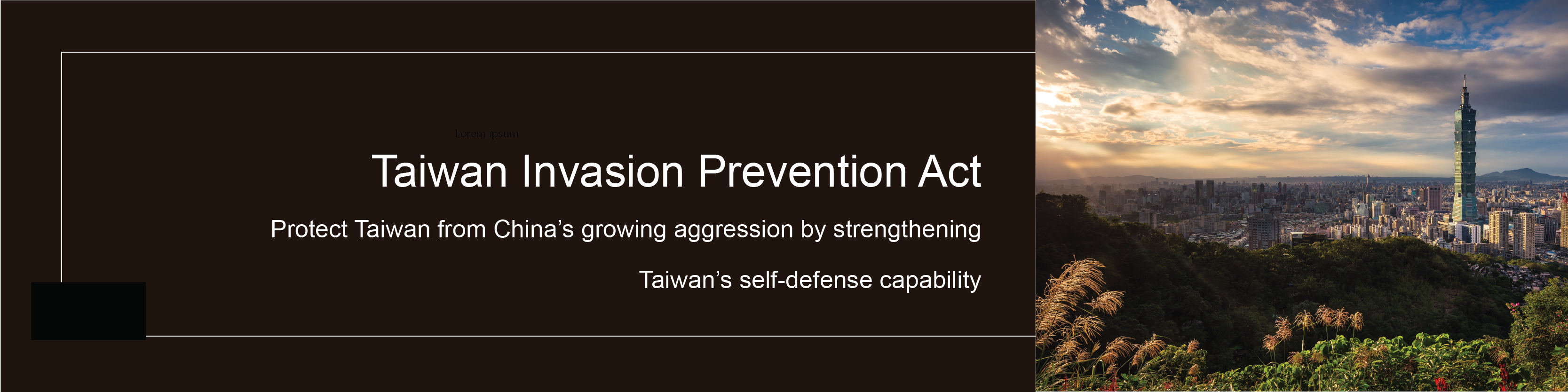 Taiwan Invasion Prevention Act 2021 - Formosan Association for Public ...